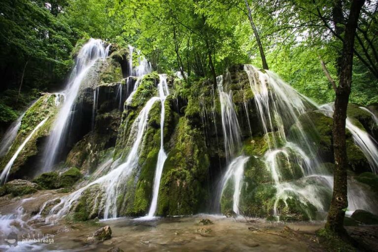 Top 10 cele mai spectaculoase cascade din Romania despre care poate ...